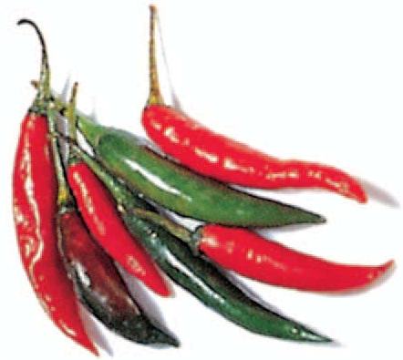 Health Tips ,Diet Tips and Healthy Foods: Chilli