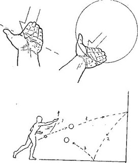 Voleibol,una aficcion o algo más??: Saque