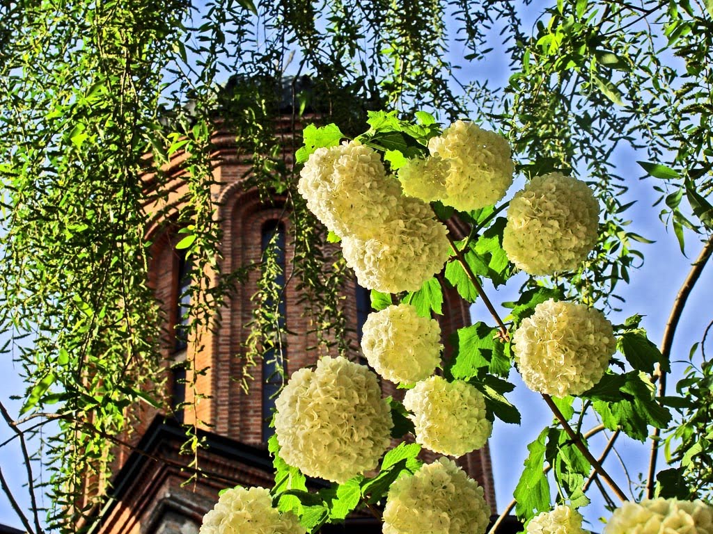 PHOTO ODYSSEY OF RICHARD: ANTIM MONASTERY MANASTIREA ANTIM