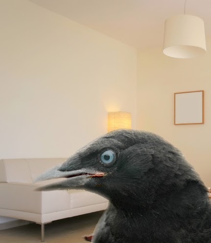 Bird Hits a Window ~ Pallimed: Arts and Humanities