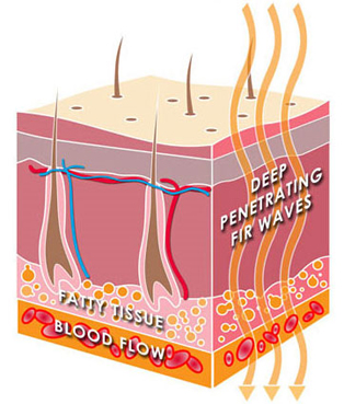 Group 2's Site Of Work: Facts About Muscle Spasm by Nadia Amira