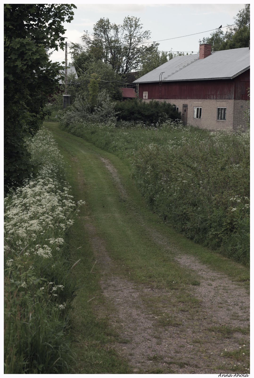 Klik Klik: Lappi, Rauma