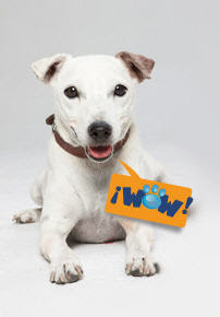 Telmex aumenta velocidad de internet - Toluca Noticias | De Hoy