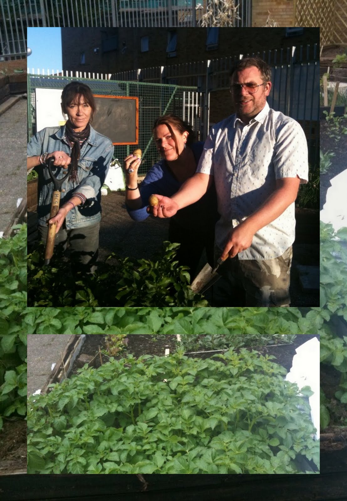 Grow Your Own @ Helston Court