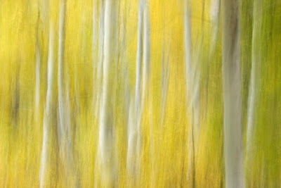 The Ansel Adams Gallery Blog: New Fall Images from Photographer William ...