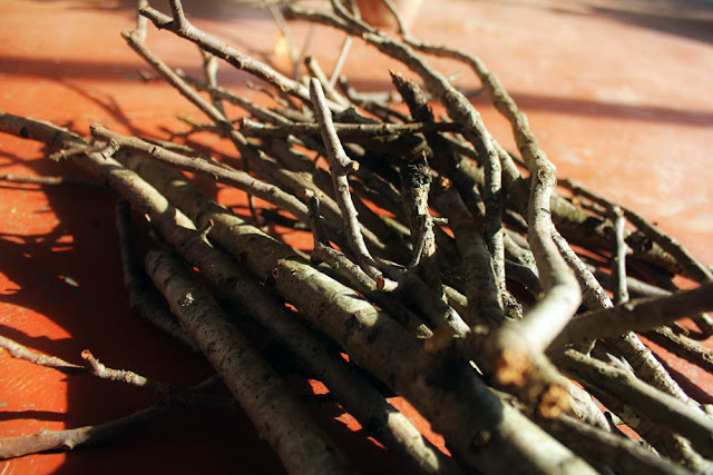 sassafras: stick picture :: kid project