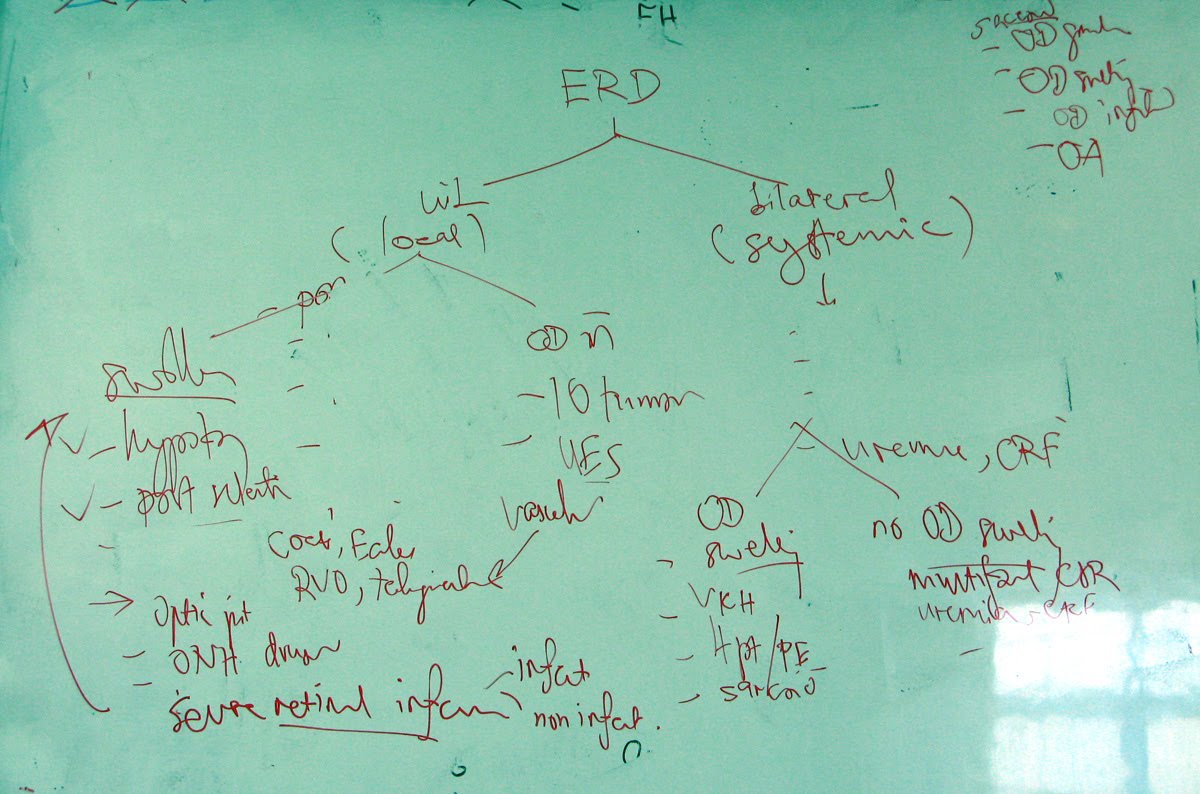 UKM Ophthal Part 2 2010: Exudative RD