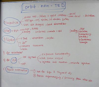 UKM Ophthal Part 2 2010: Orbit Examination