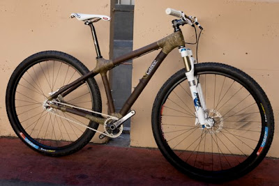 Ez Sez: Bamboo-Hemp Bike