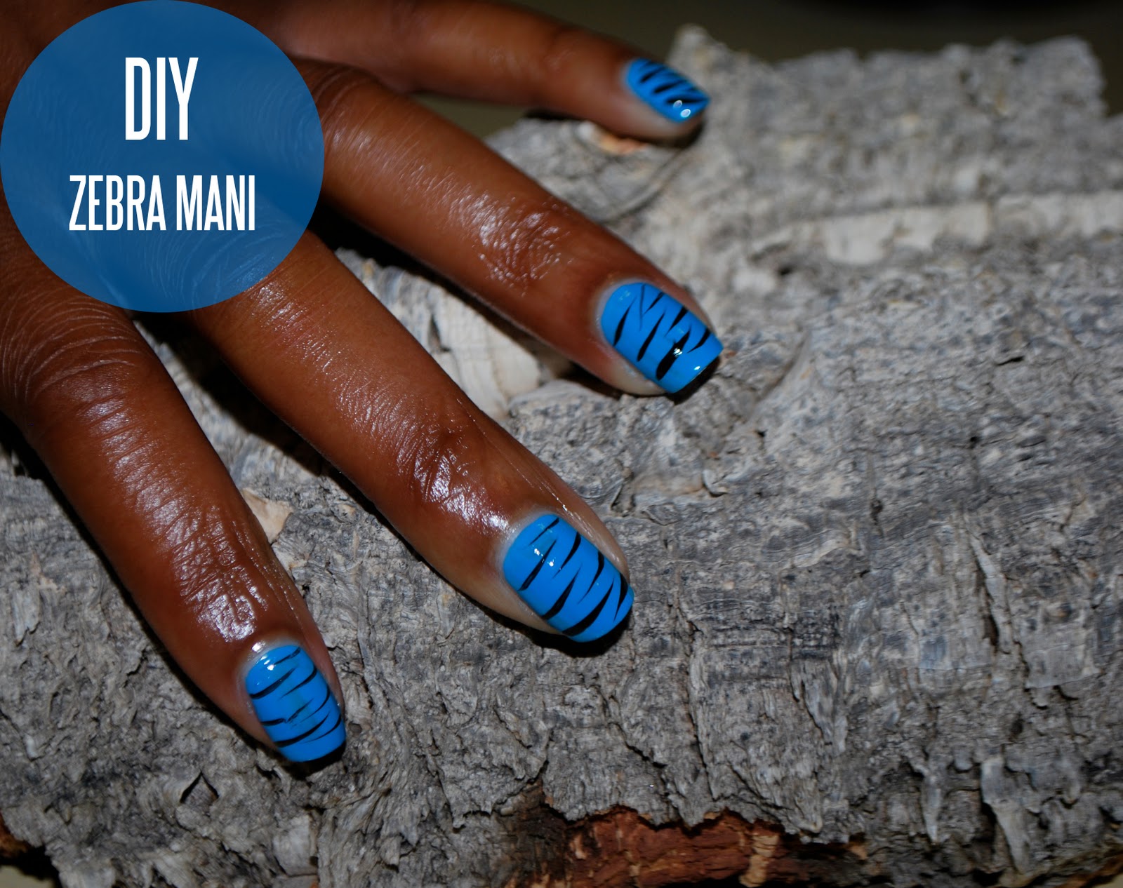 The Moptop Maven.com | The Premier Source For All Things Creative, Fly ...