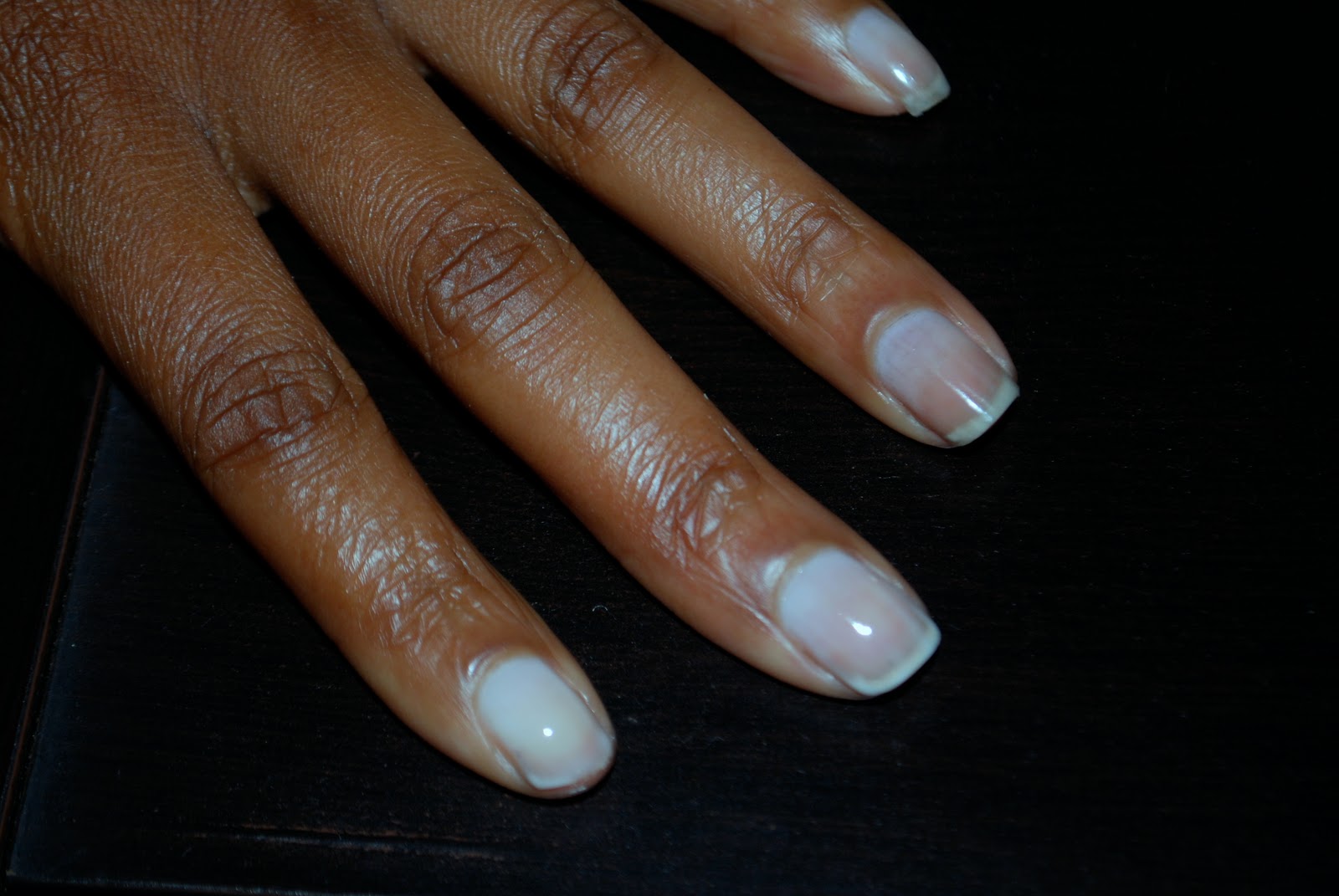 The Moptop Maven.com | The Premier Source For All Things Creative, Fly ...