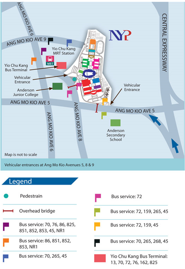 NYP Marketing Hub - Where Creativity Never Stops Flowing...