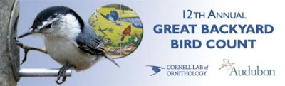 The Greenbelt: Great Backyard Bird Count - Results
