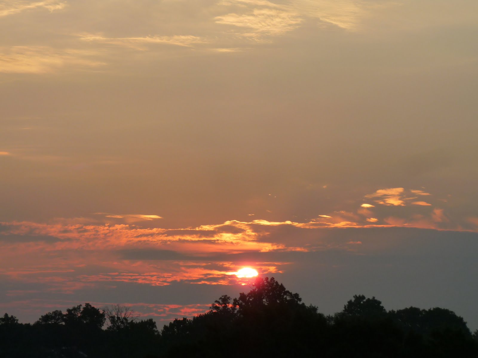 The Greenbelt: Happy Solstice!