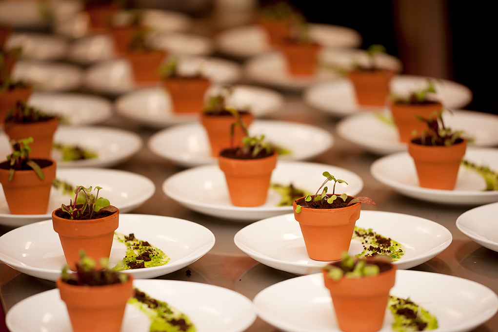 rochelle adonis cakes + confections: Dessert Degustation # 2