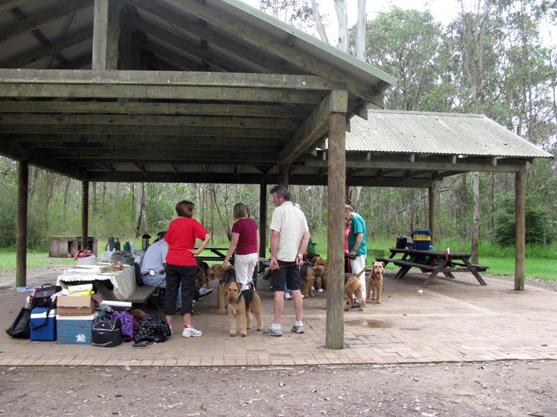 The Rubydale Times: 2010