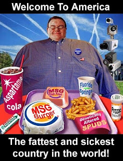 A Fast Food Nation: So What Does Fast Food Do To Us???