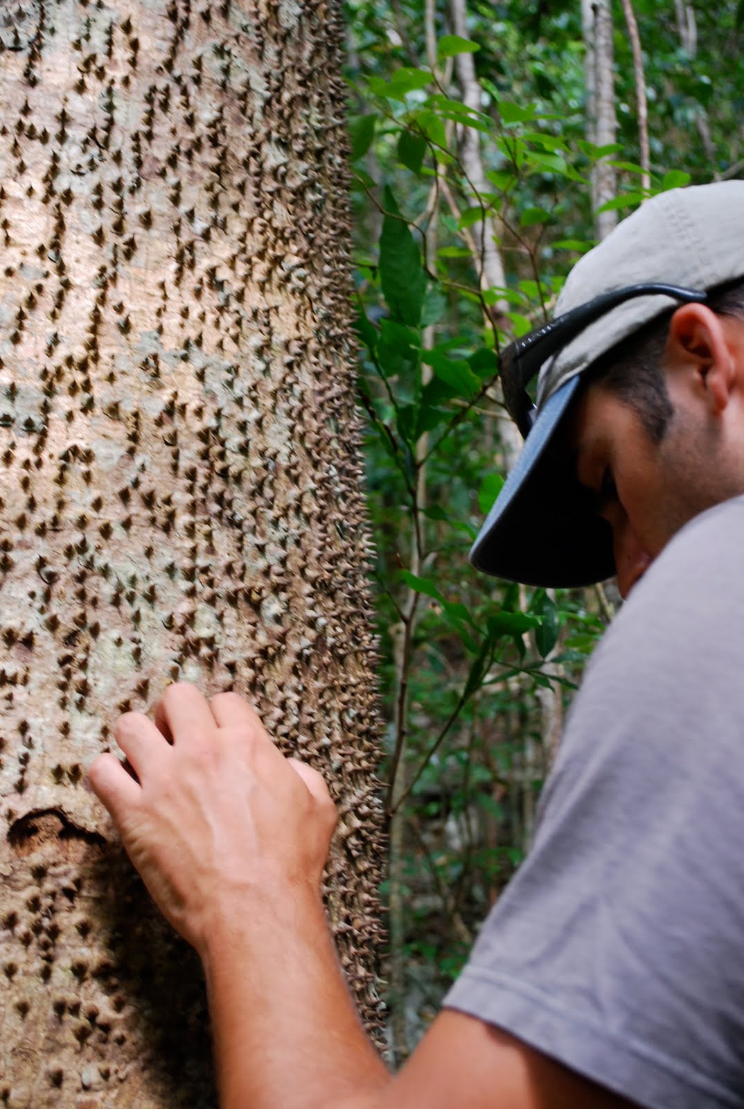 Stuff & Things.: St. John