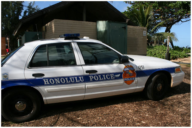 swop surfboards: HAWAII POLICE D'ETAT