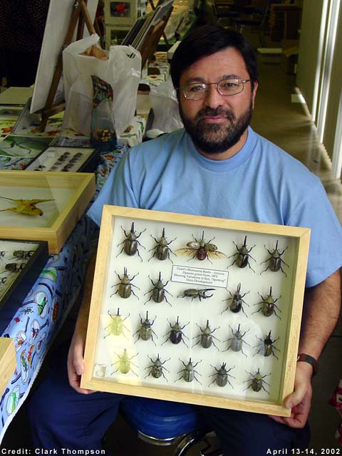 ItsTheBestThingEver!: sites on insect collection and or display
