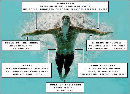 Danny's isearch blog: Diagram of Michael Phelps