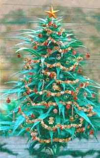 Christmas Quotations