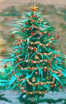 Christmas Quotations