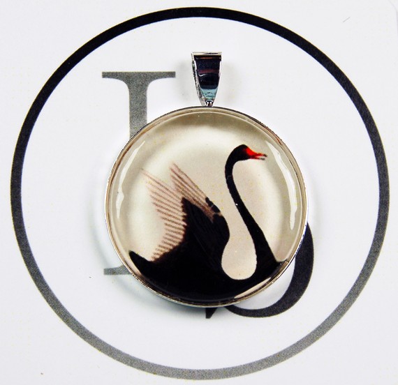 Puchata Pufa: Czarny Łabędz