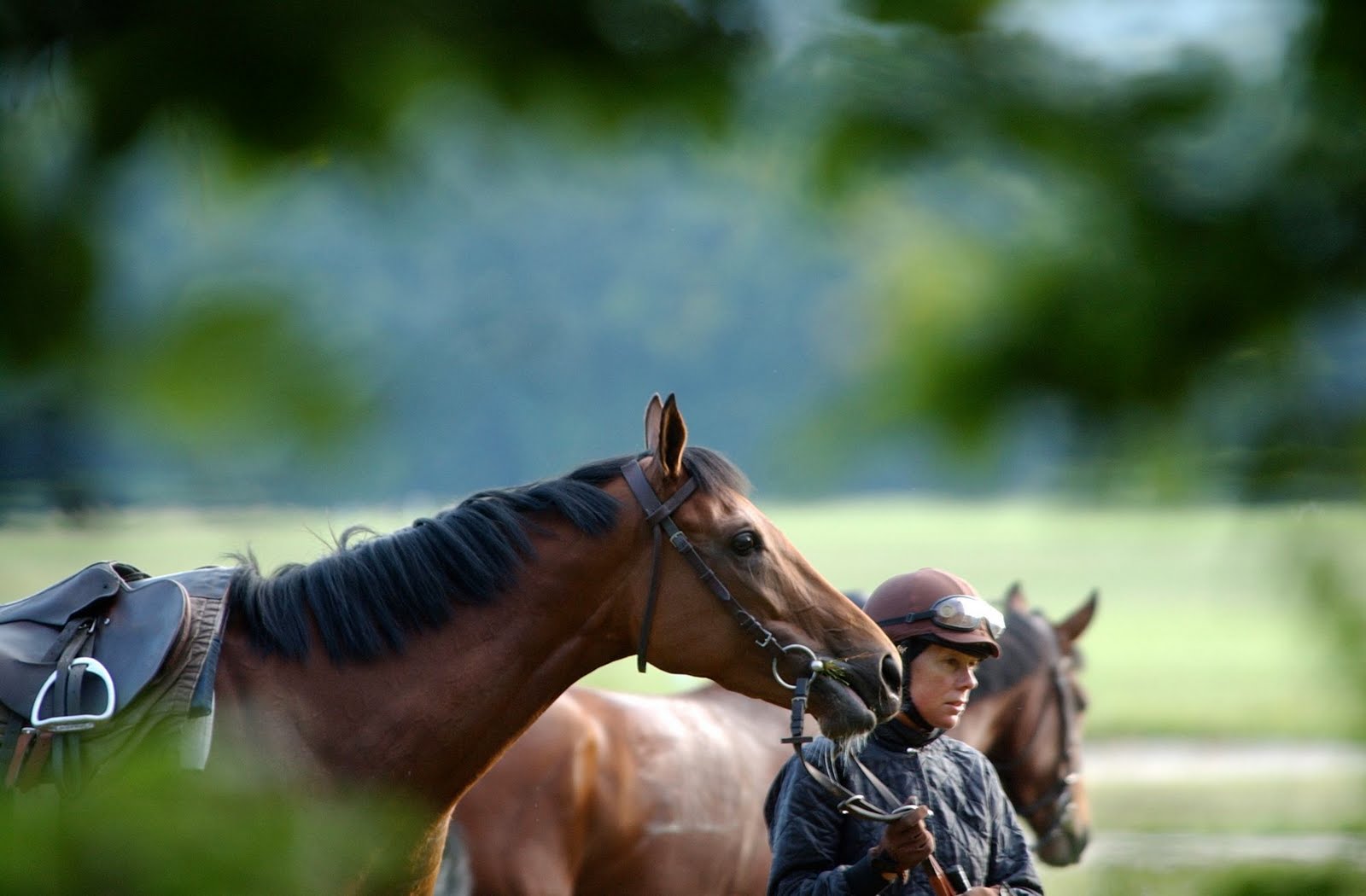 O NINHO DO ALBATROZ: 11 de ago. de 2010