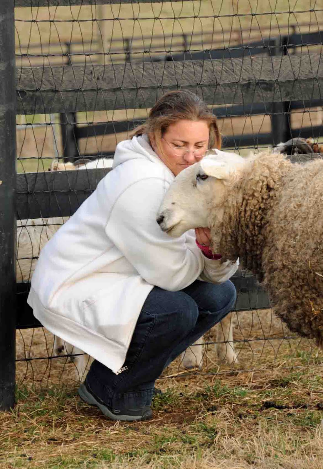 (Inter) National Hug A Sheep Day: December 2010
