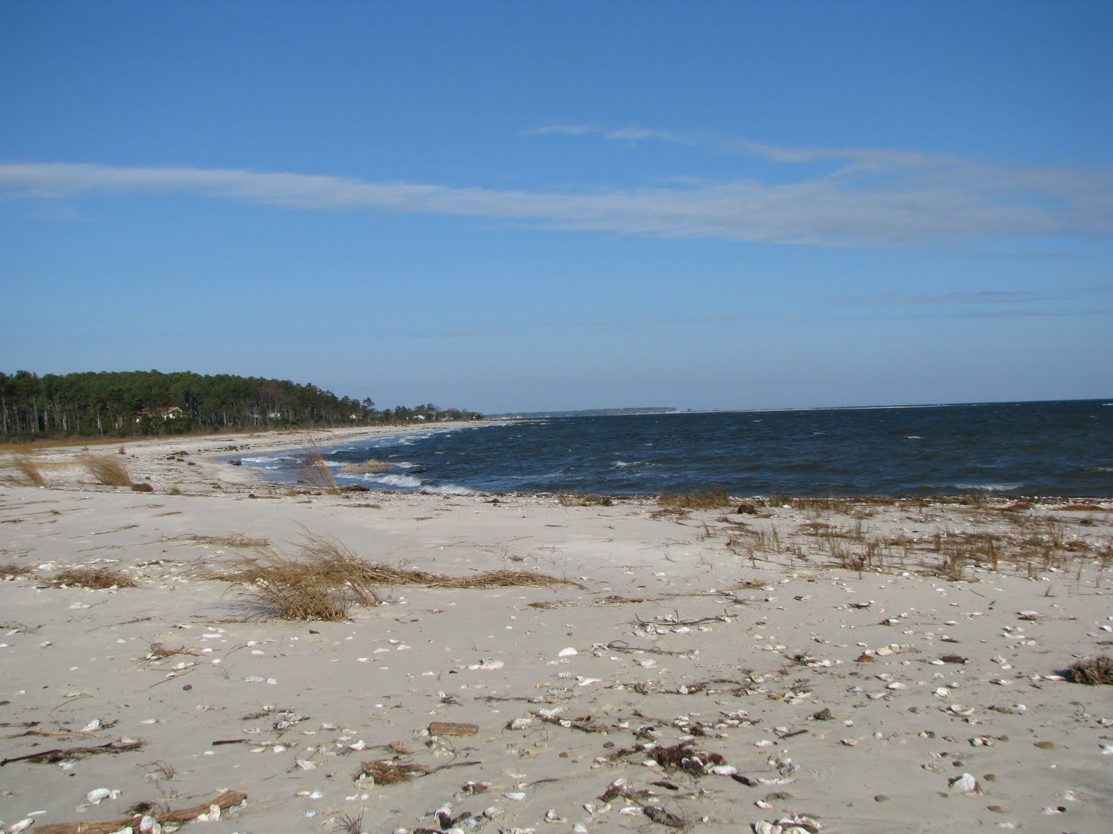 Life in Mathews: Haven Beach