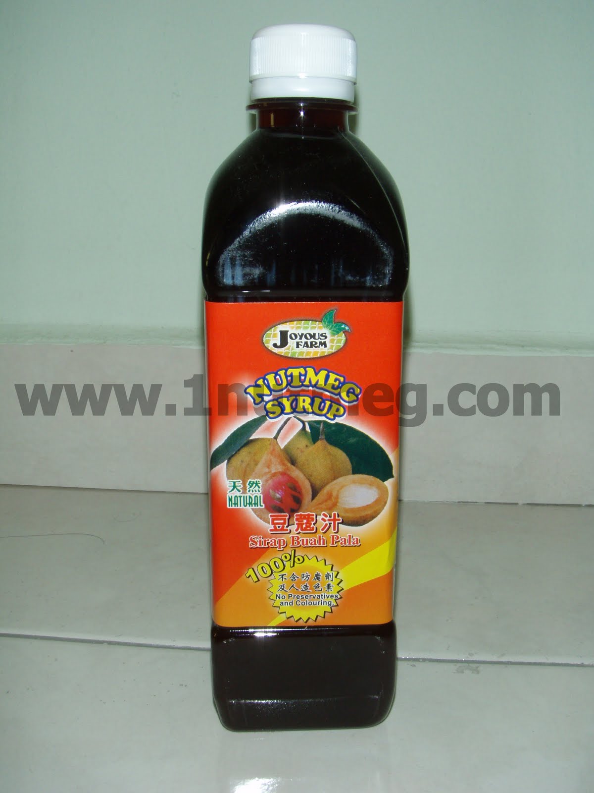 NUTMEG WORLD: WHAT IS NUTMEG PENANG, MALAYSIA