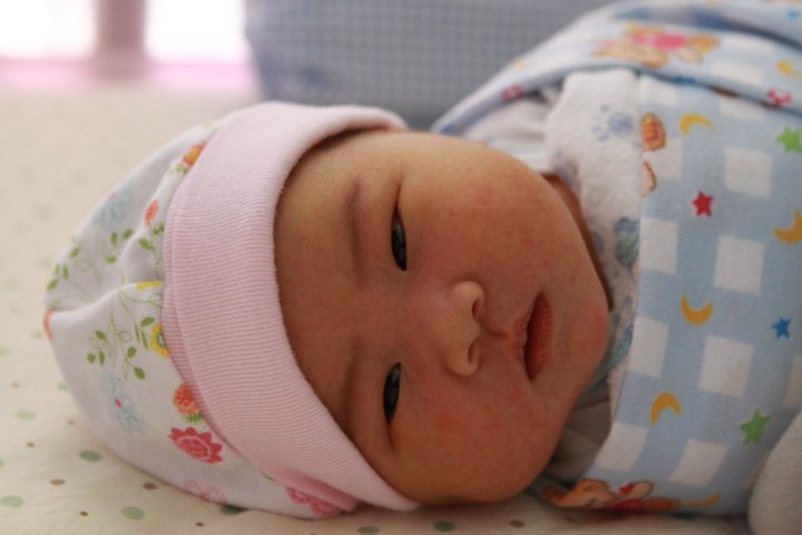 Gourmet Baking: Mango Chocolate Mousse Cake and Macaron