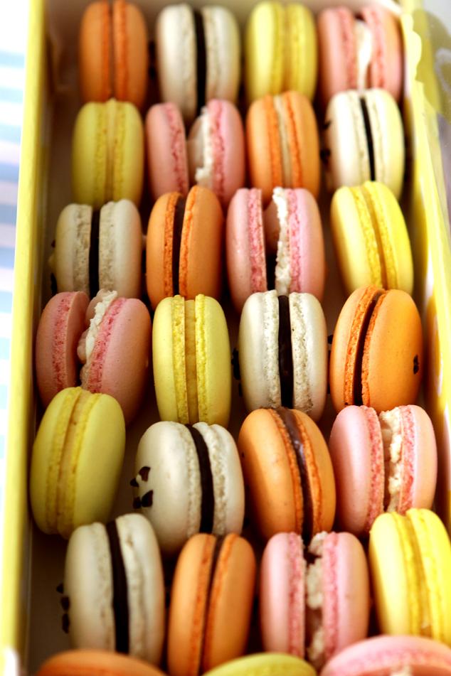 Gourmet Baking: Assorted and Colorful Macarons for Christmas