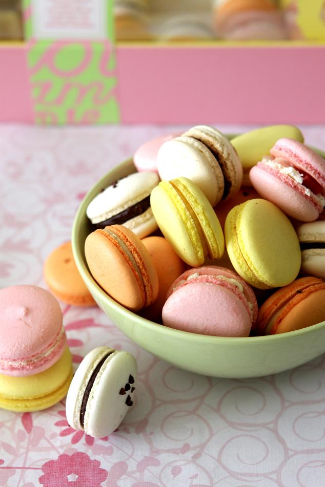 Gourmet Baking: Assorted and Colorful Macarons for Christmas