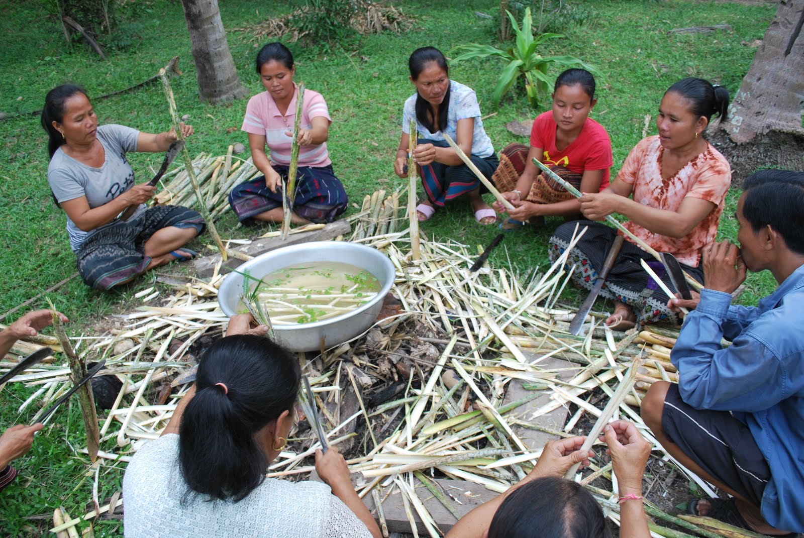 Laos × ODOP = MY LIFE: rattan shoot villange visit