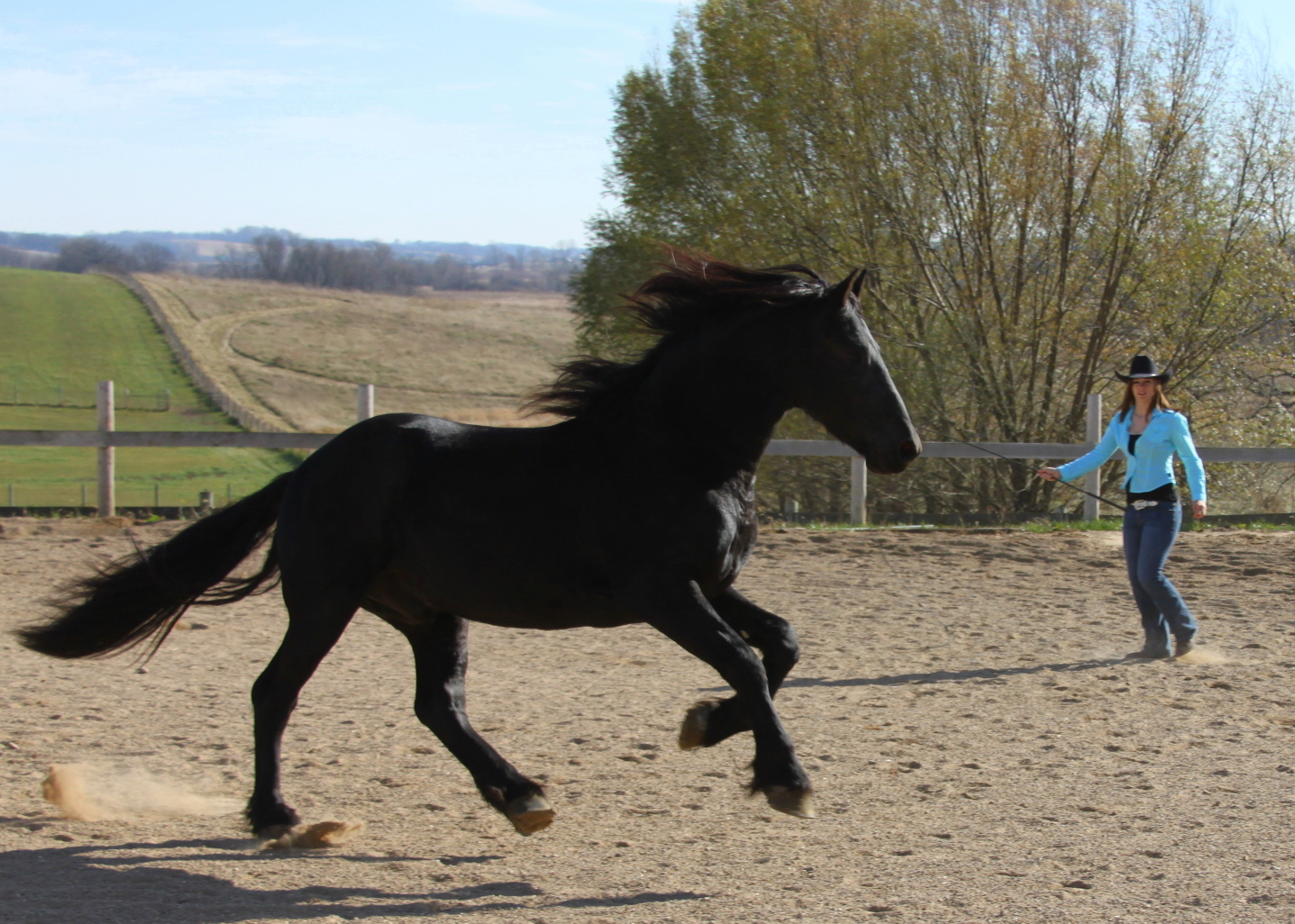 Photo Jazz: Liberty Stables