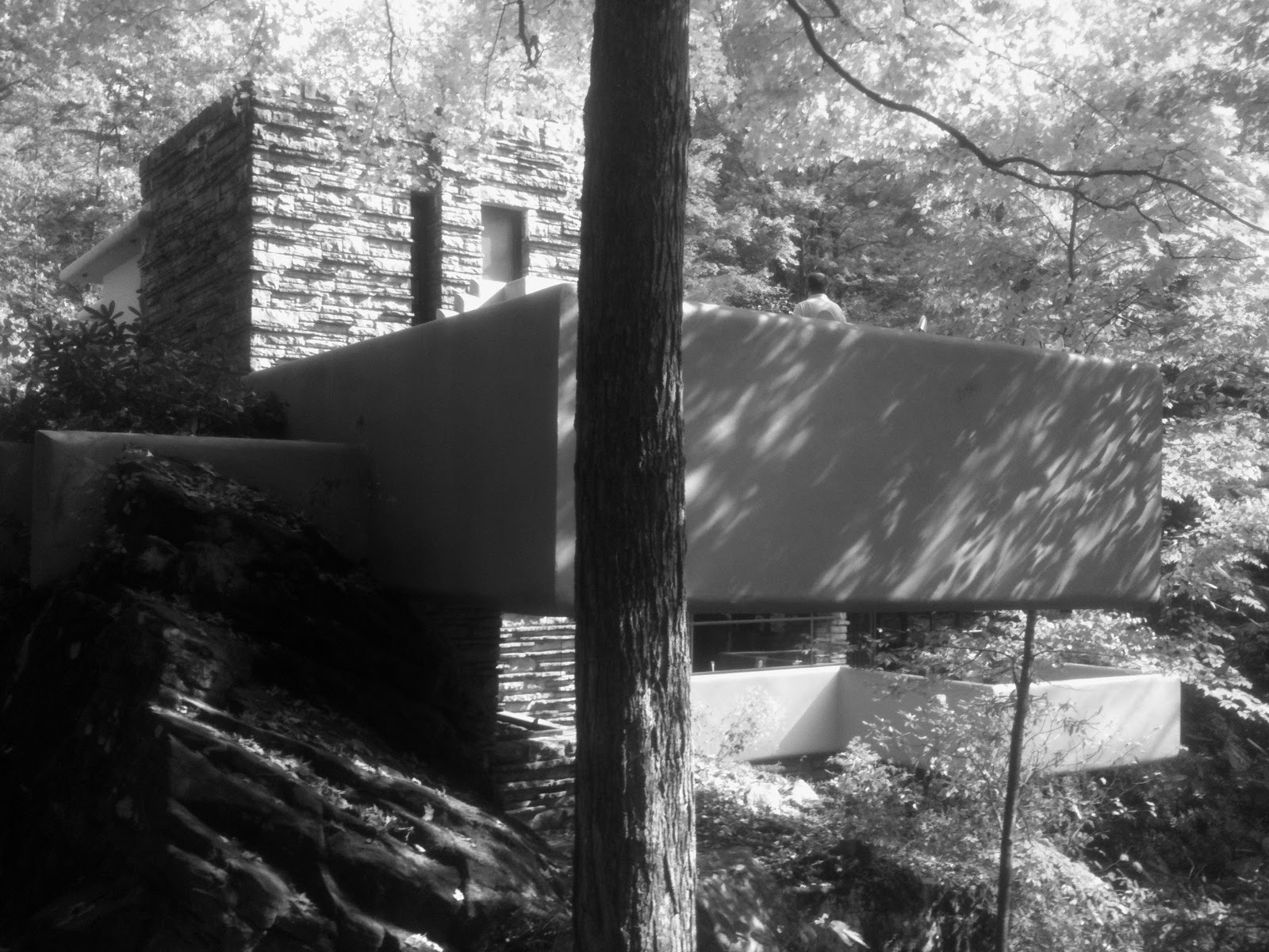 Gene D. Petro ~ RE Broker | Owner ~ Chicago IL: Fallingwater Road Trip