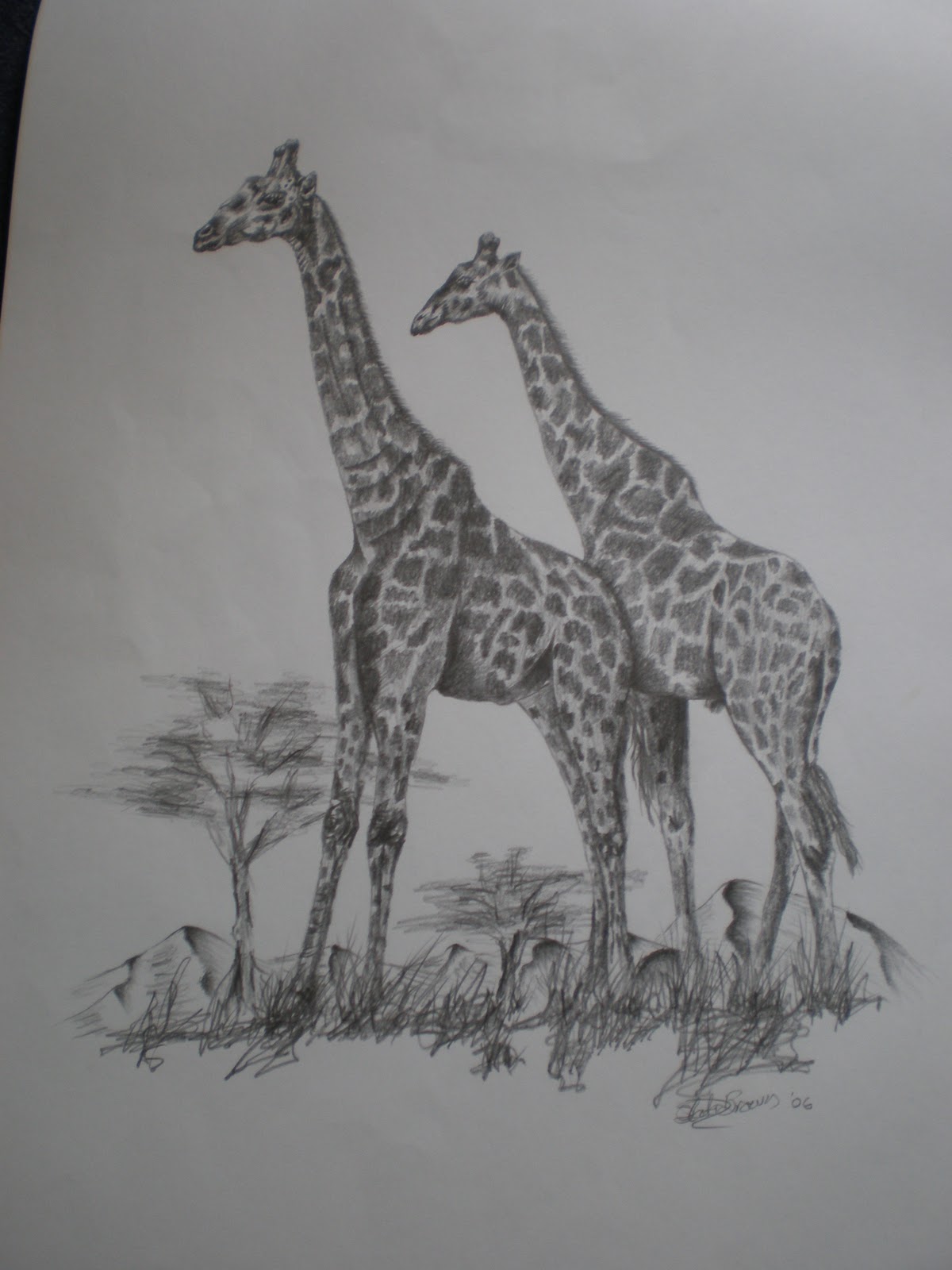 spi-gon-arts: My Art - African Animals
