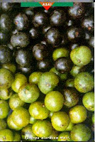 COMPONENTES DE MULTIACCION: Asaí