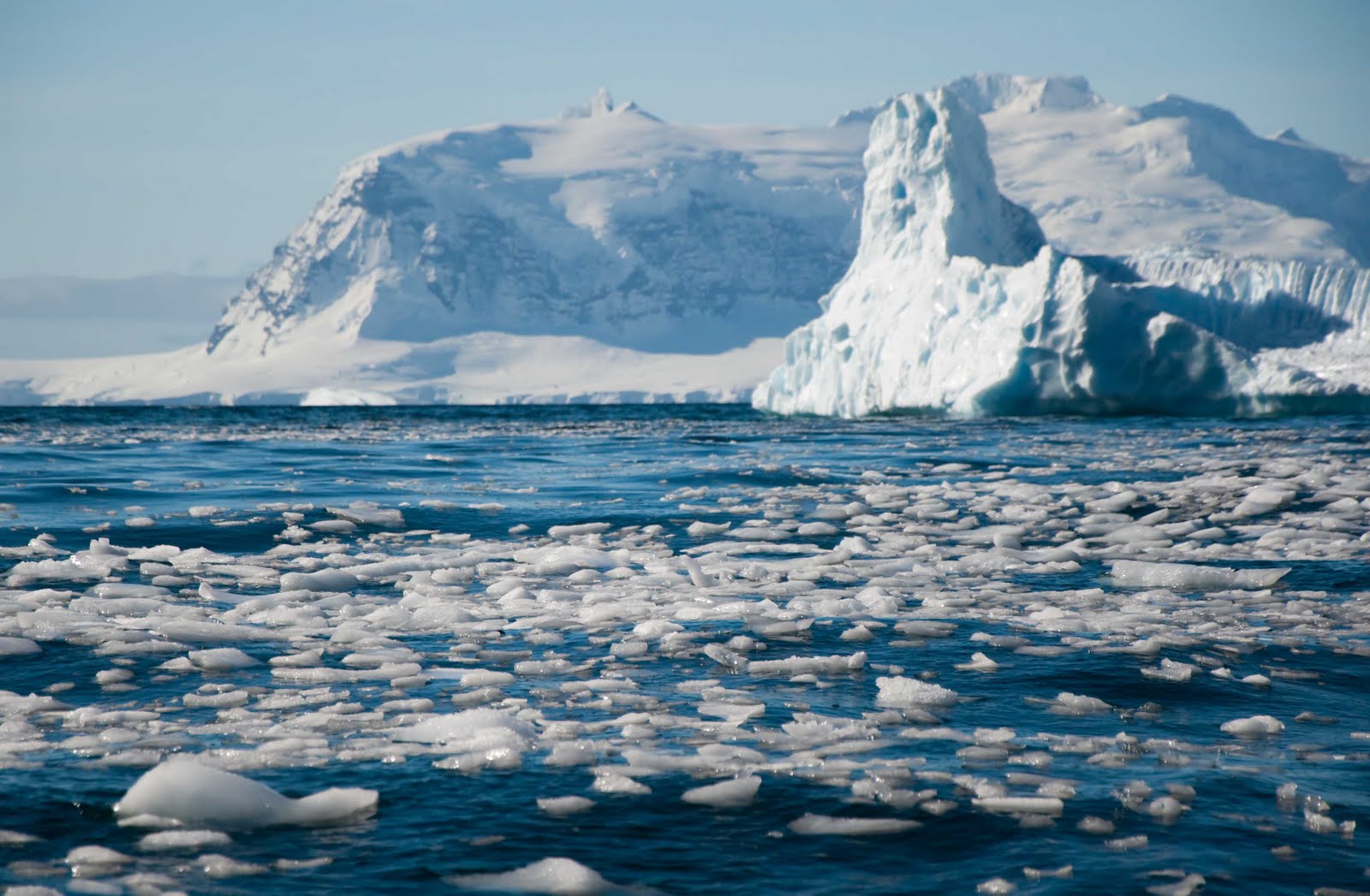 Bluedog Photography: Tips for Photography in Cold Weather