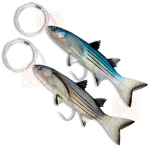 Fishing Accessories Products Detail: Williamson Mullet 8-Inch Live ...