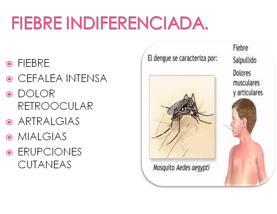 medicine: dengue