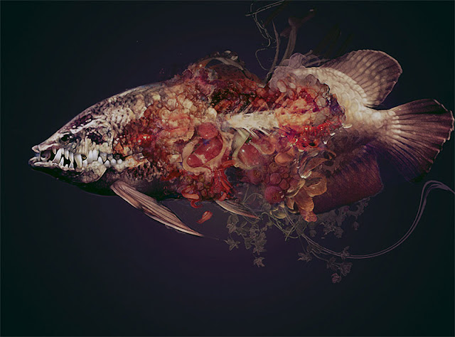 Surrealism and Visionary art: Ydk Morimoe