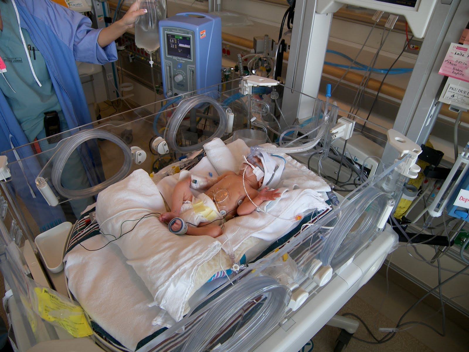 Better Leite Than Never: November 2009