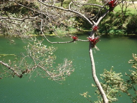 El Turismo en Coconuco/Cauca
