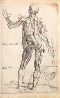 Vesalio en el mundo de Copérnico