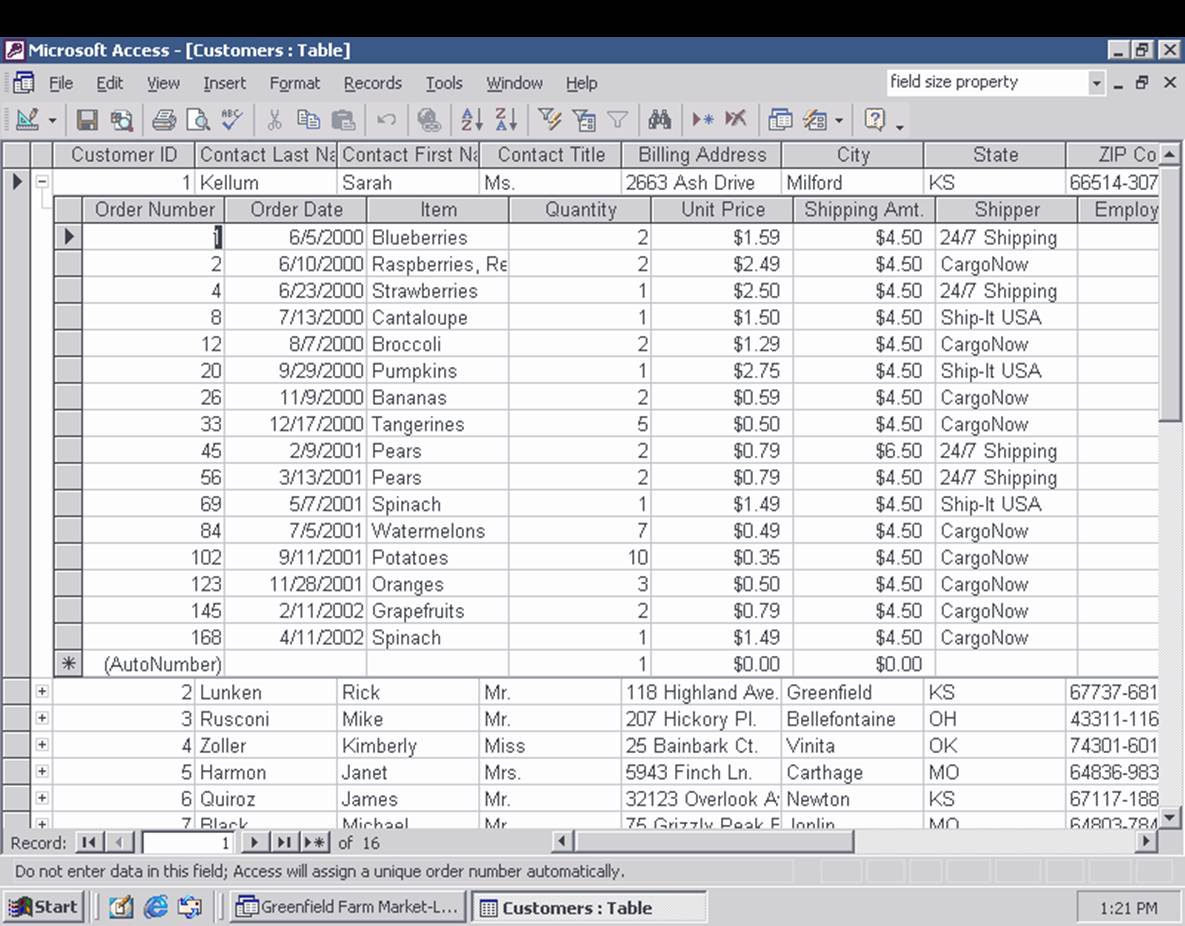 Yasir Student Blog: Database Management System (DBMS) Access