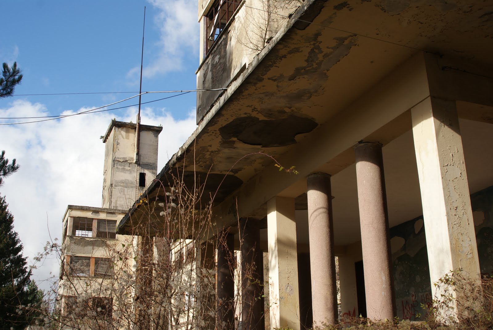 Alan Gardini: Colonia di Rovegno