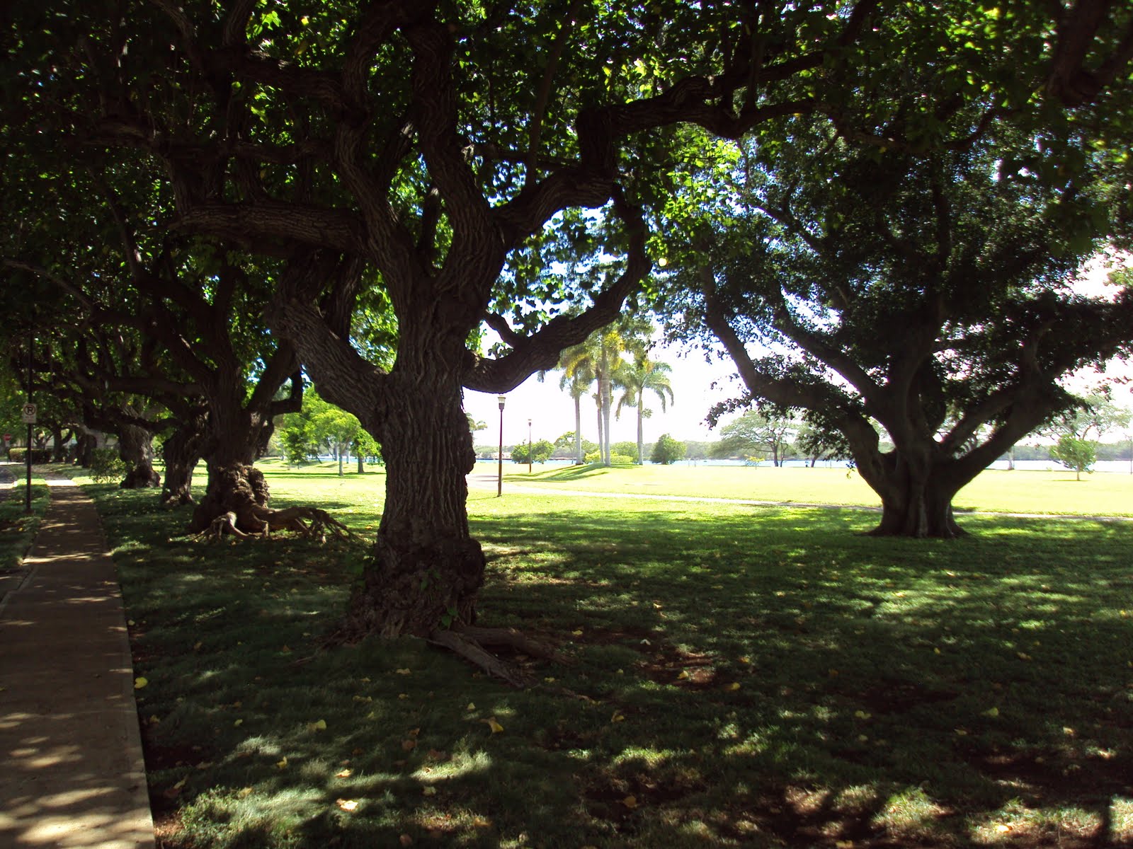 Exercises in Writing: Aloha 'Aina Park at Hickam Air Force Base